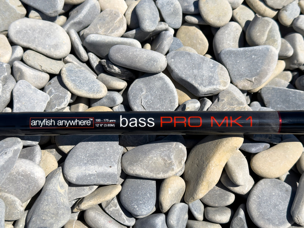 Bass PRO | PRO Series | Sea Fishing Rod – anyfish anywhere