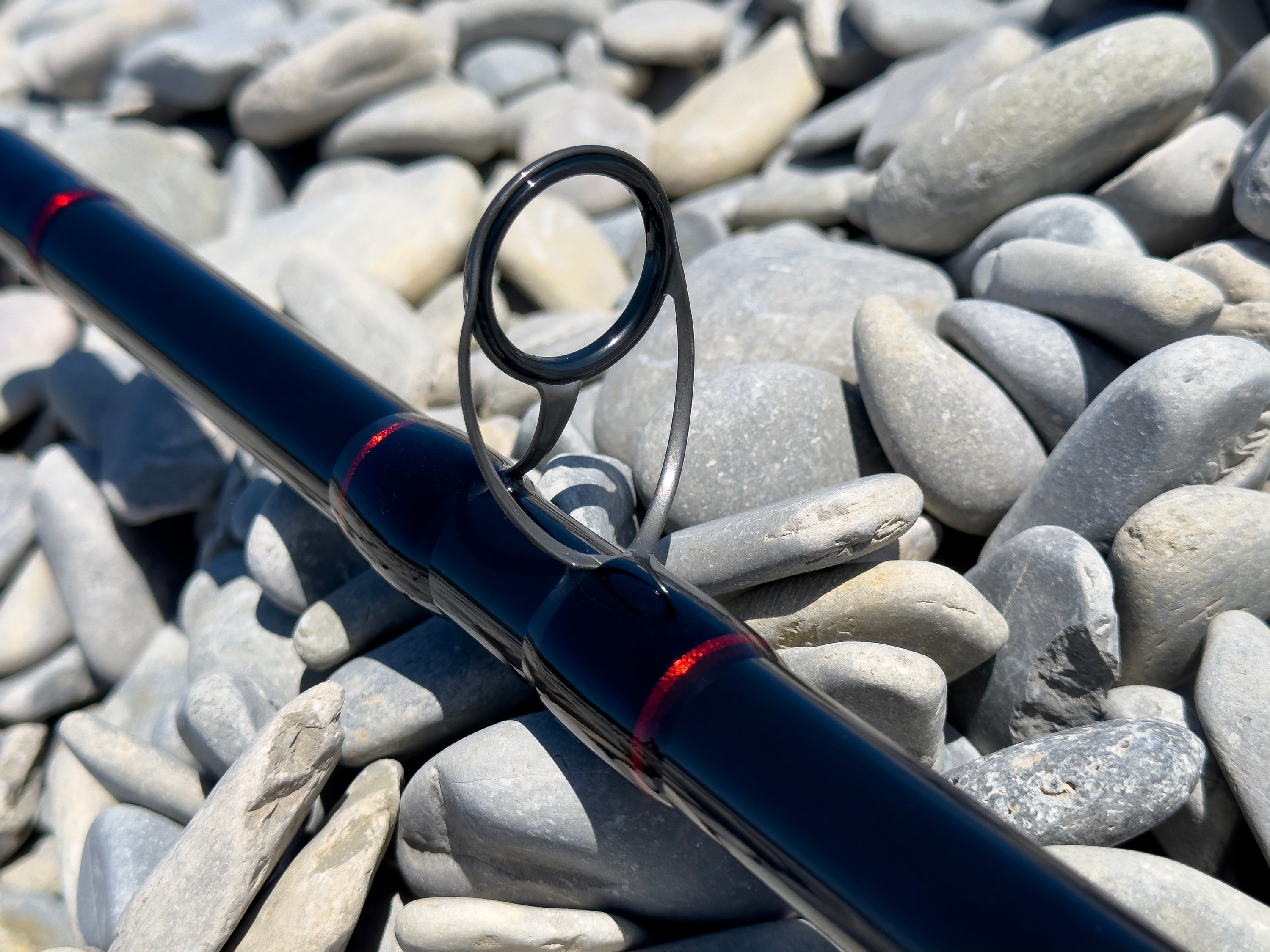Anyfish Anywhere | Experts in Sea Fishing Rods – anyfish anywhere